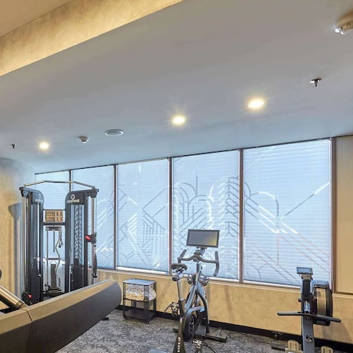 Obscure window with frosted glass panel in gym of hotel IBIS ...